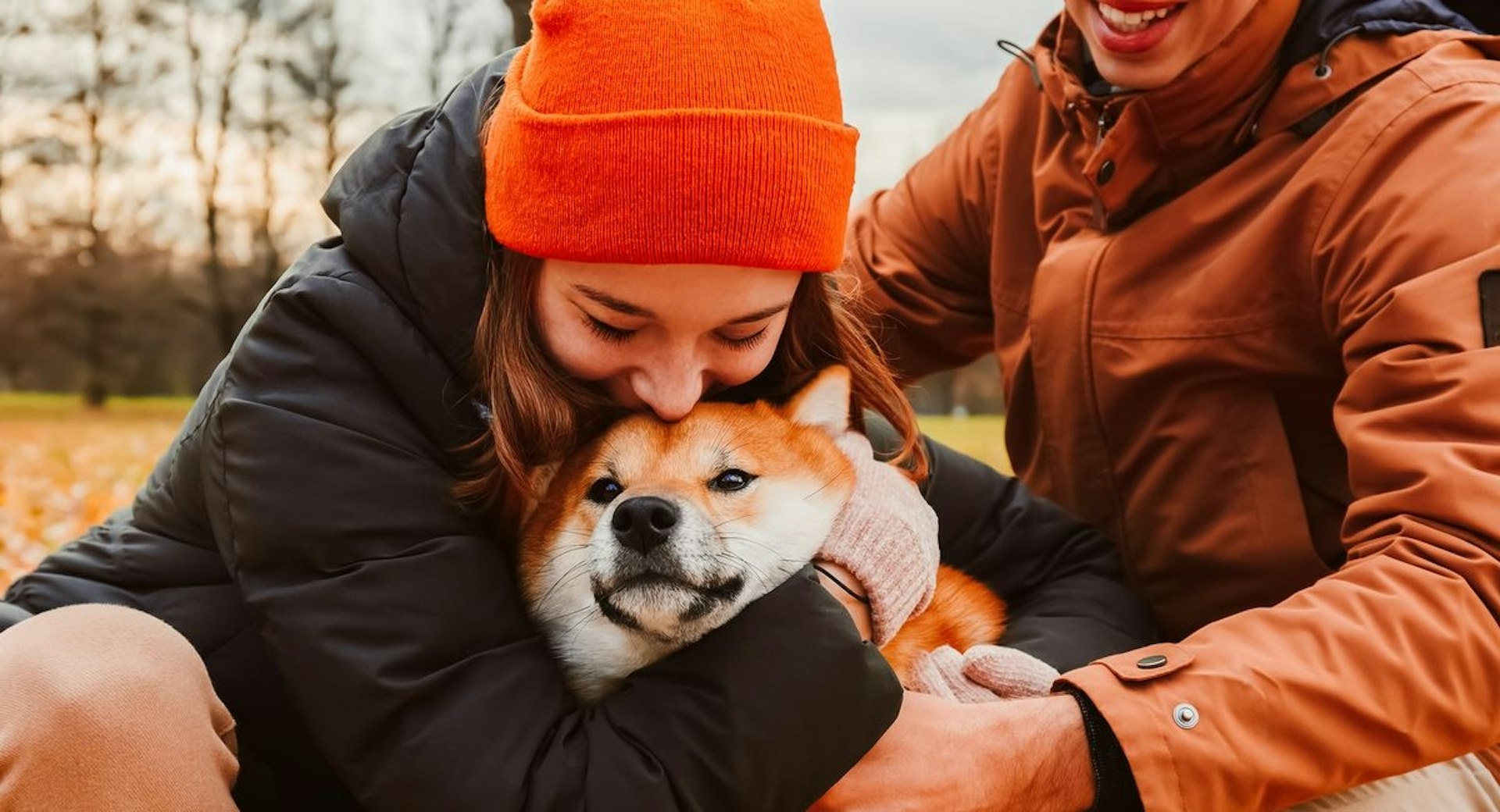 Tips for Volunteering at an Animal Shelter | Animal Clinic of Woodruff ...