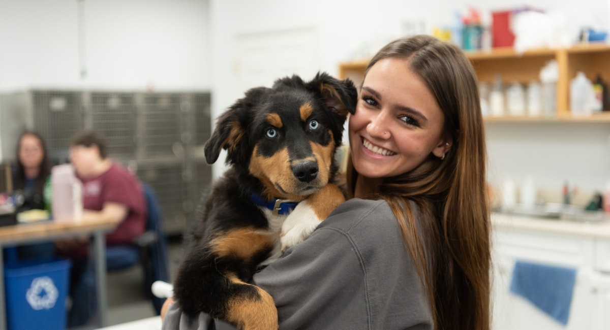 Behind the Scenes with an ACOW Vet | Spartanburg SC